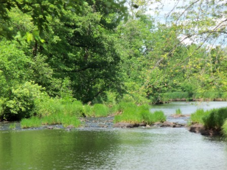 Snake River Campground | Aitkin County, MN